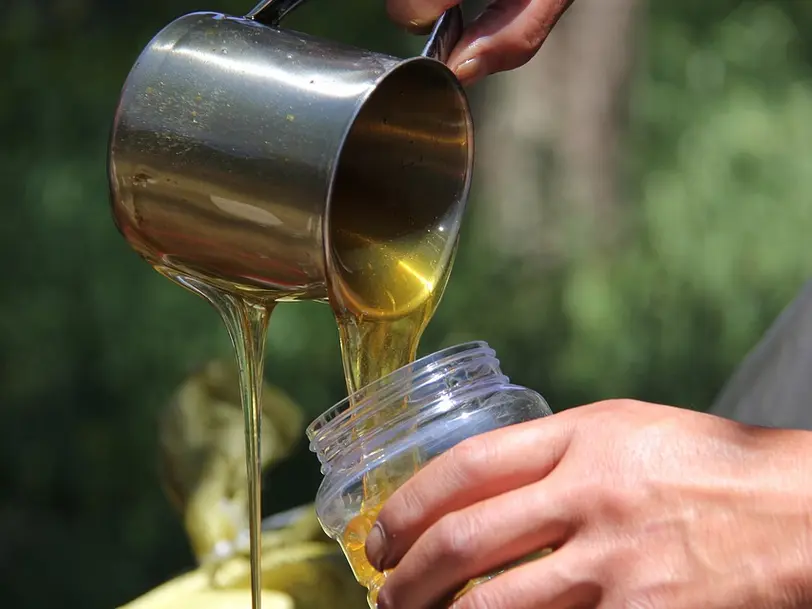 Hof am Weiher AG in Albessen